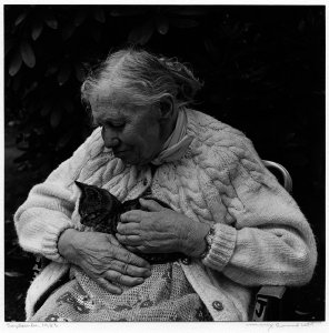 Write2Heal BLOG « Mindy Meyers-Halleck